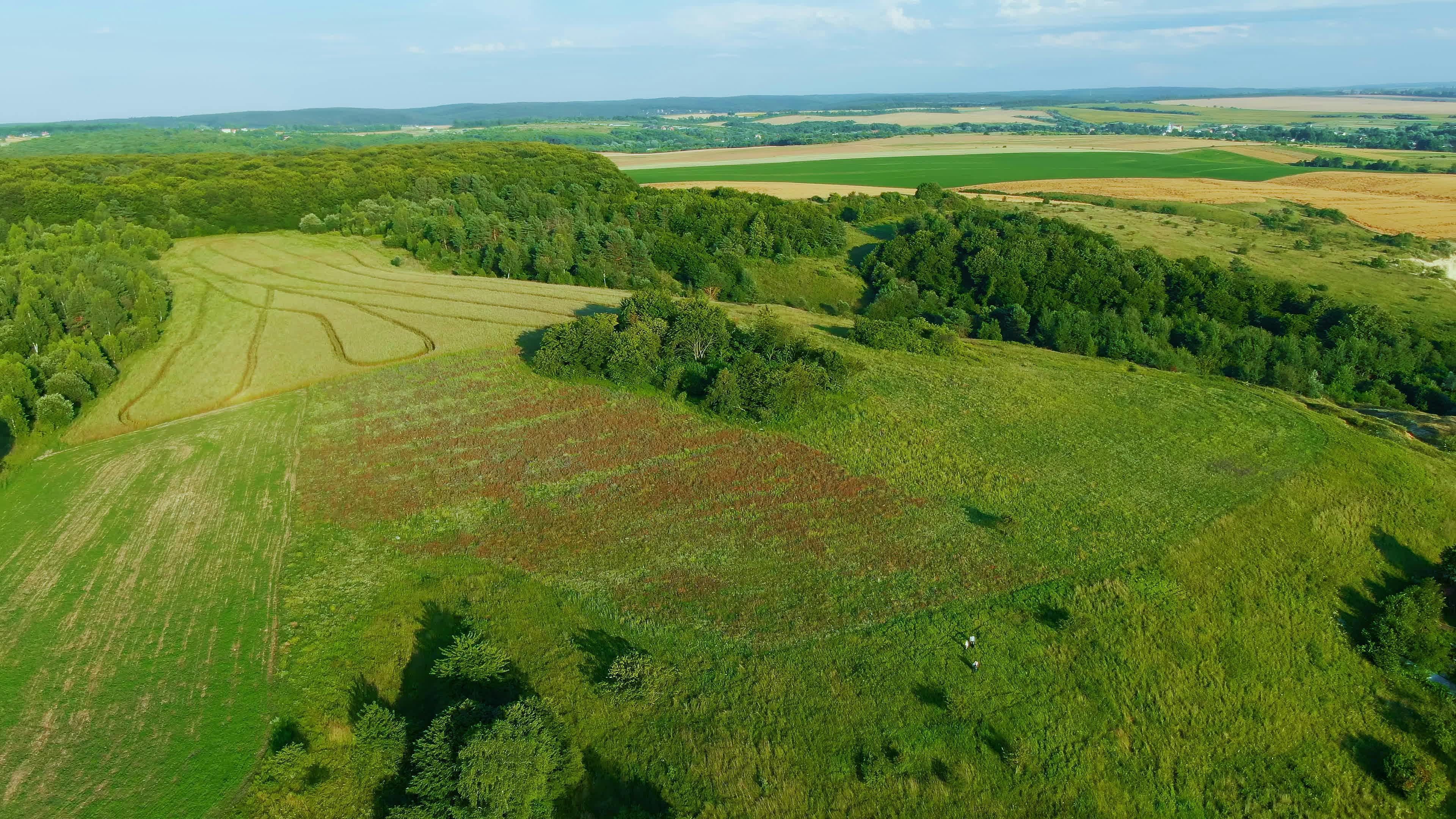 Discover ukrainian-fields, a story-driven footage | Artlist