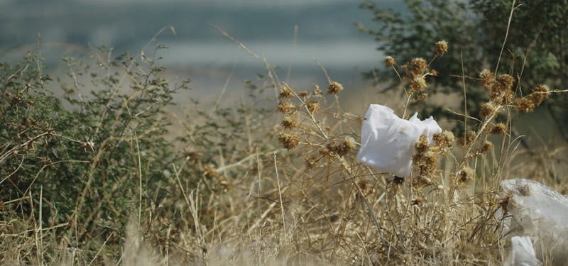 Thorn, Bush, Waste, Litter by Ami Bornstein – Stock Footage | Artlist
