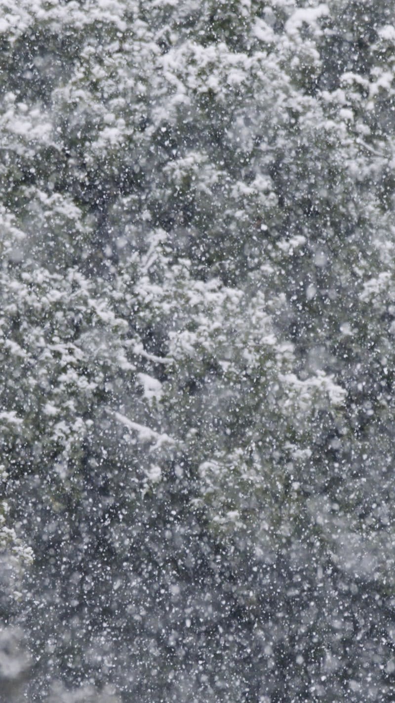 Frozen, Vertical, Outdoor, Monochrome by The Stock Studio – Stock ...
