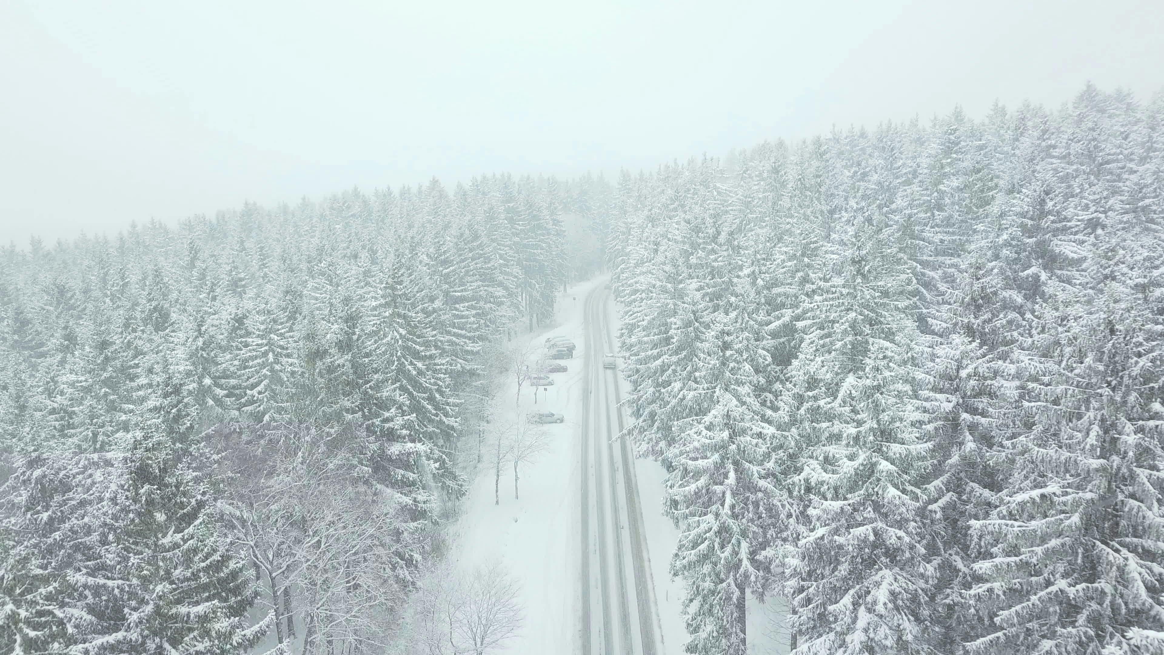 Discover winter-snow-storm-forest, a story-driven footage | Artlist