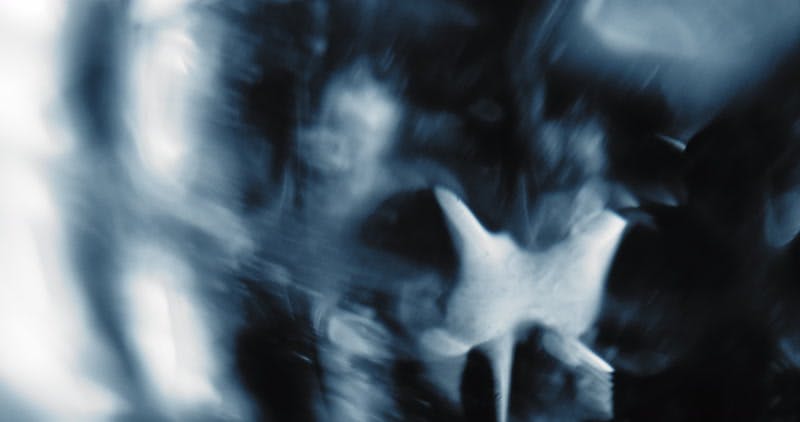 Flare, Light, Distorted, Reflecting by Kristian Ozer Kettner – Stock ...