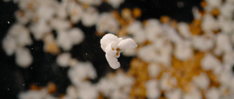 Popcorn, Popping, Frying, Process by Omri Ohana – Stock Footage | Artlist