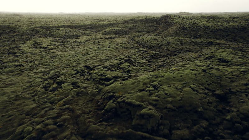 Ground, Drone, Mossy, Bumpy by Kenneth Svanborg – Stock Footage | Artlist
