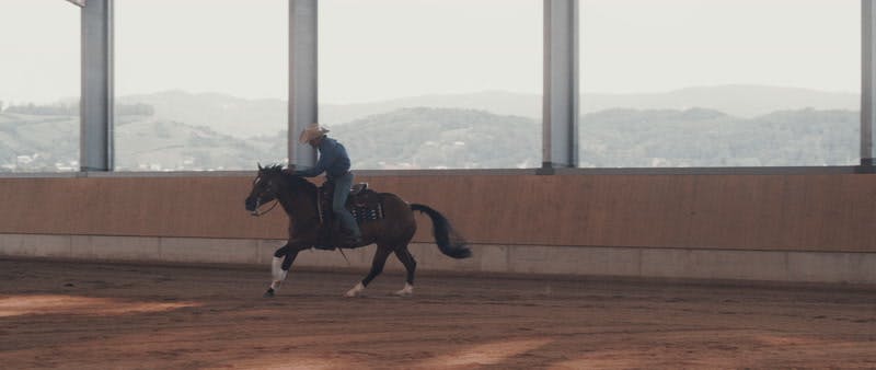 Riding, Barn, Stable, Man by Thomas Gellert – Stock Footage | Artlist