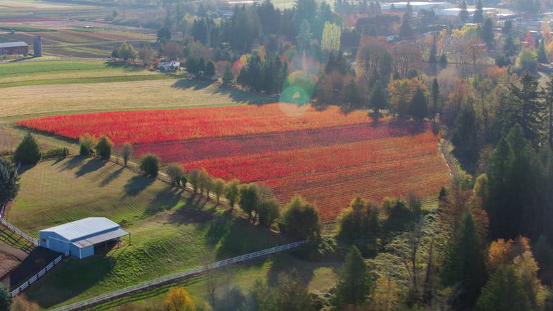 Field, America, Oregon, Crops by Via Films – Stock Footage | Artlist