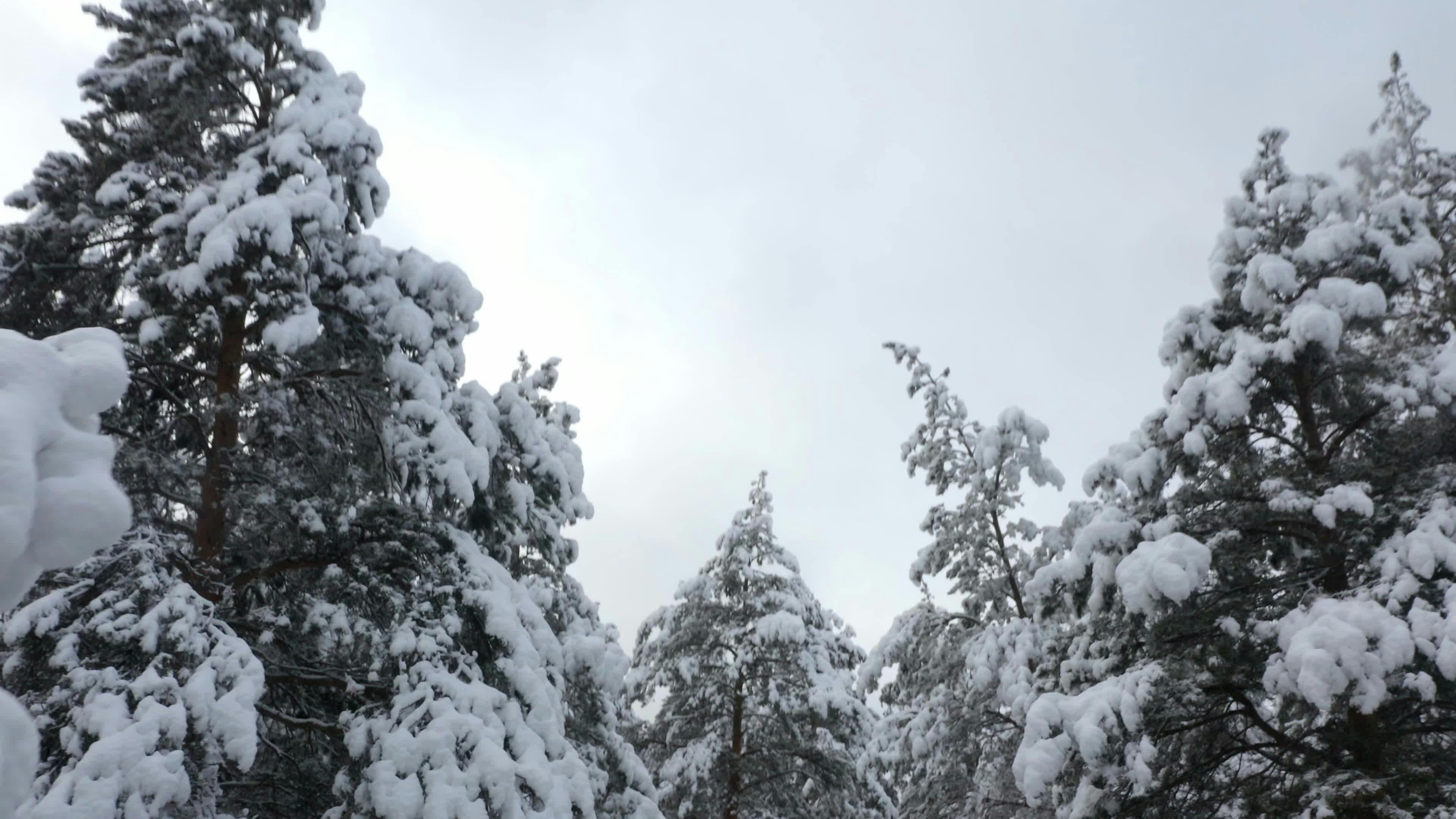 Discover winter, a story-driven footage | Artlist