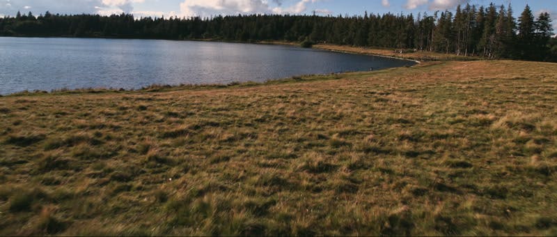 Wind, Pond, Conifers, Trees by Karim Yatrib – Stock Footage | Artlist