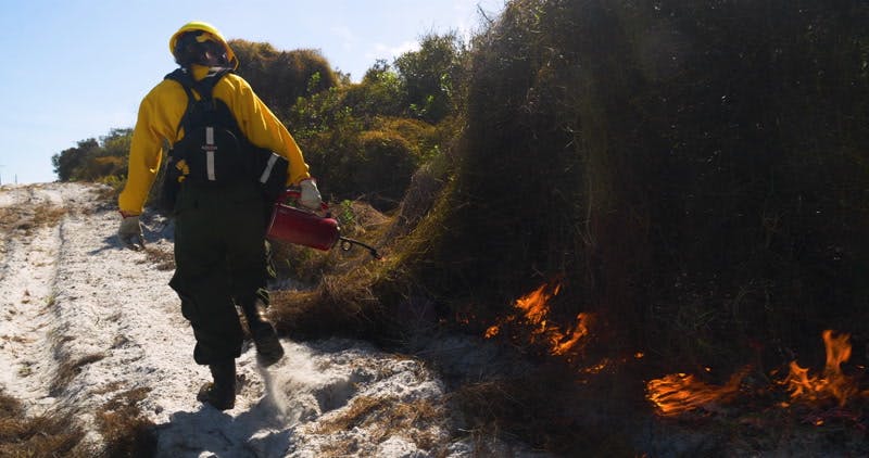 Flames, Fireline, Burning, Firefighting by Day's Edge Productions ...
