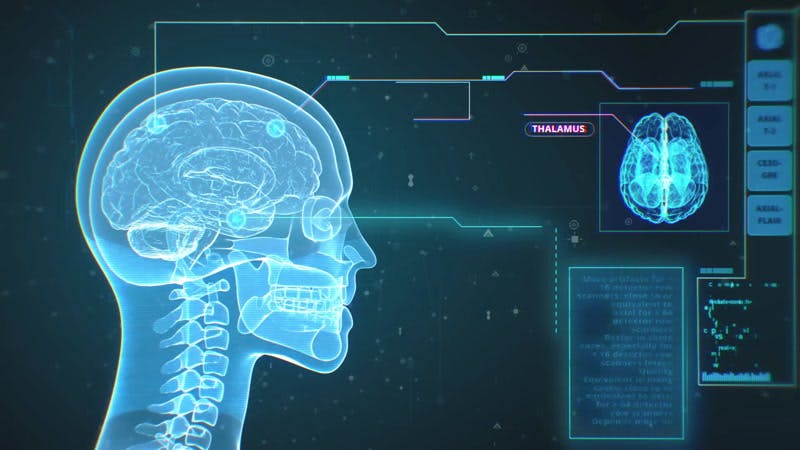 Data, Medical, Skull, Infographic by Gilad Baron – Stock Footage | Artlist