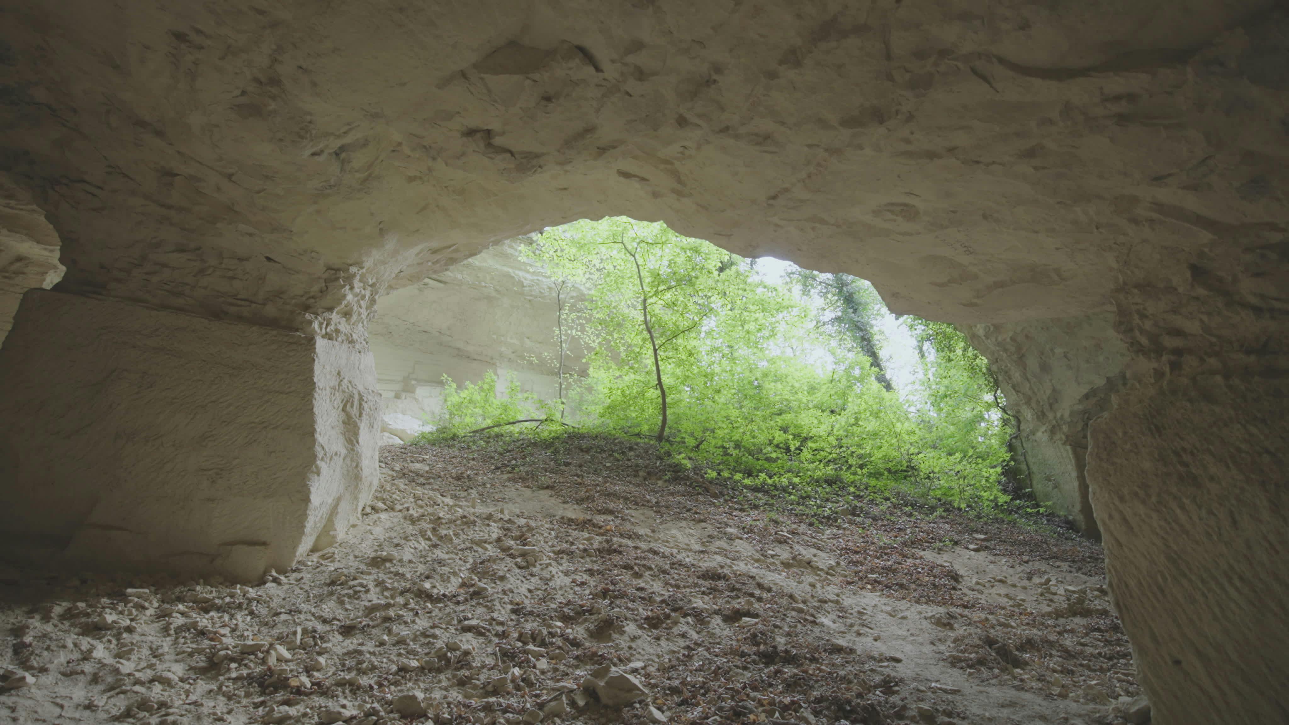 Discover neolithic-cave, a story-driven footage