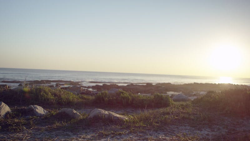 Sandy, Sand, Barefoot, Runner by Ross Hillier – Stock Footage | Artlist