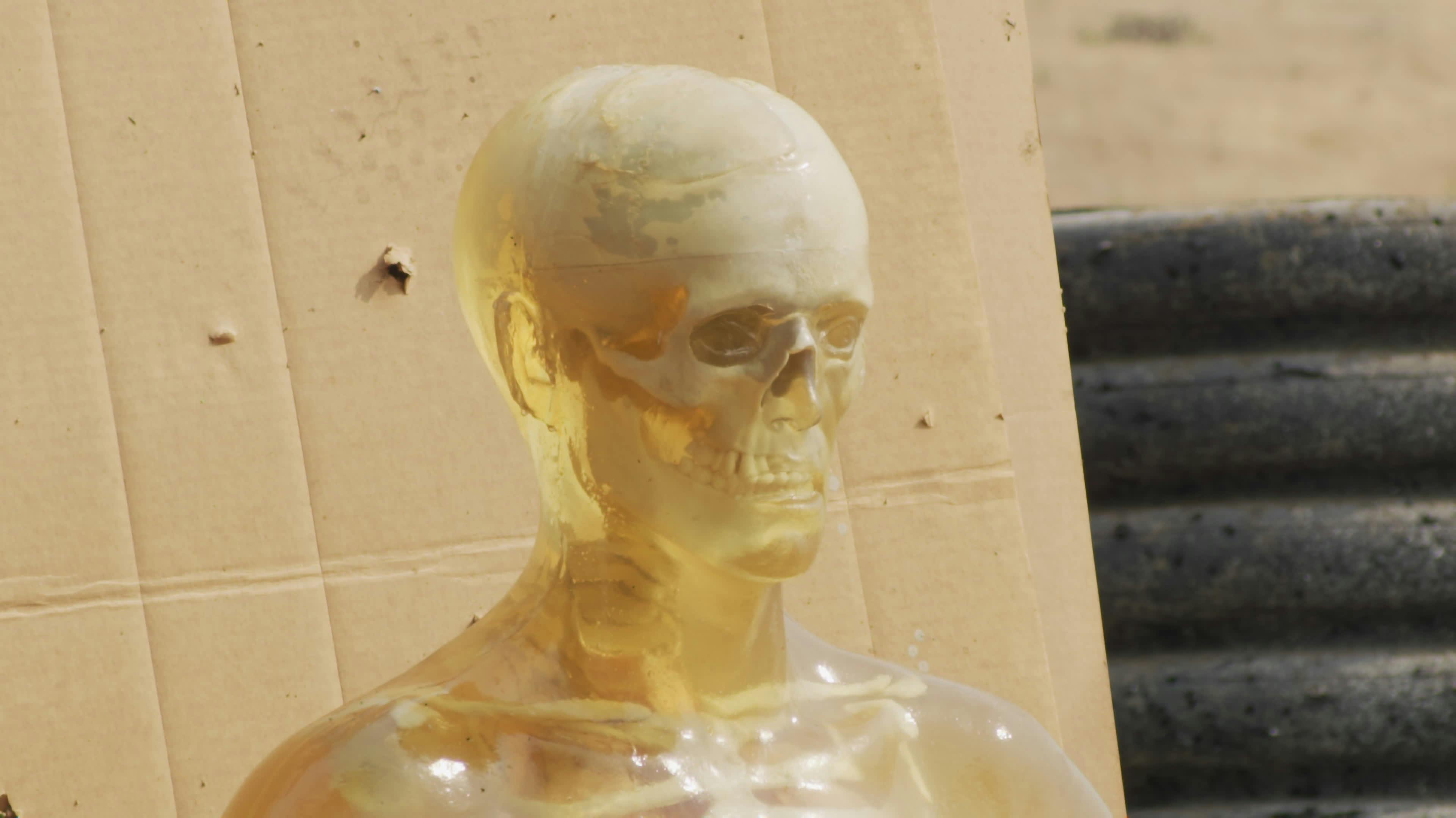 Discover ballistic-gel-dummy, a story-driven footage | Artlist