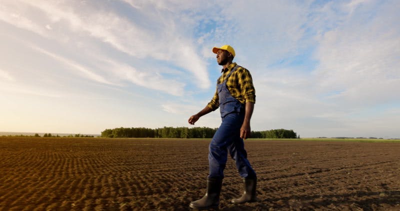Cropland, Farmland, Walking, Soil by Dmitrii Borovikov – Stock Footage ...