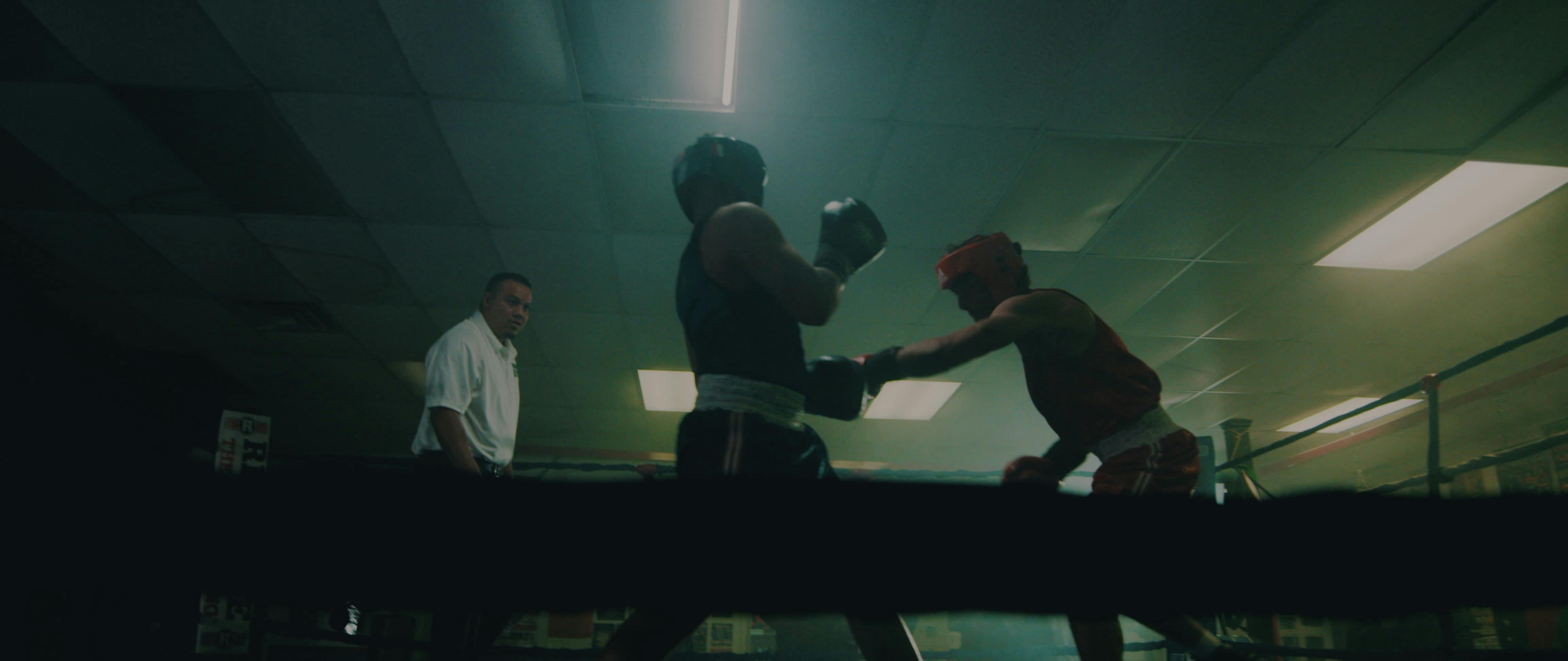 Discover boxing-sparring-match, a story-driven footage | Artlist