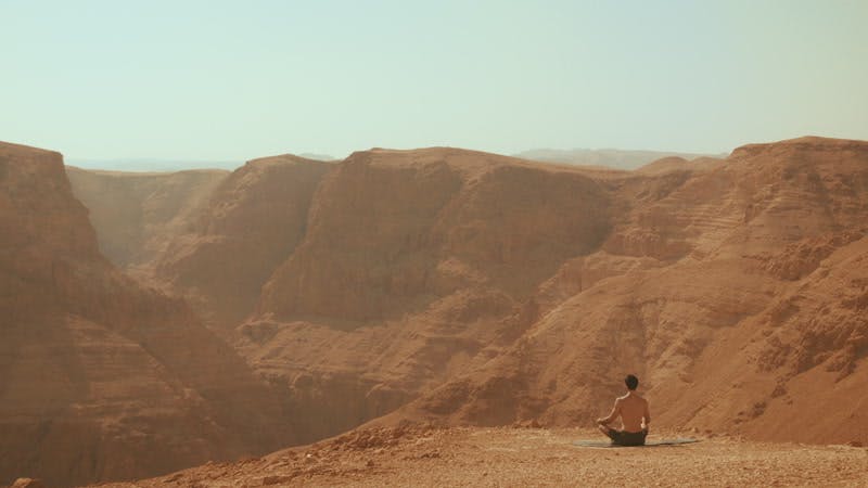 Agile, Strength, Fitness, Desert by Naama Dashevski – Stock Footage ...