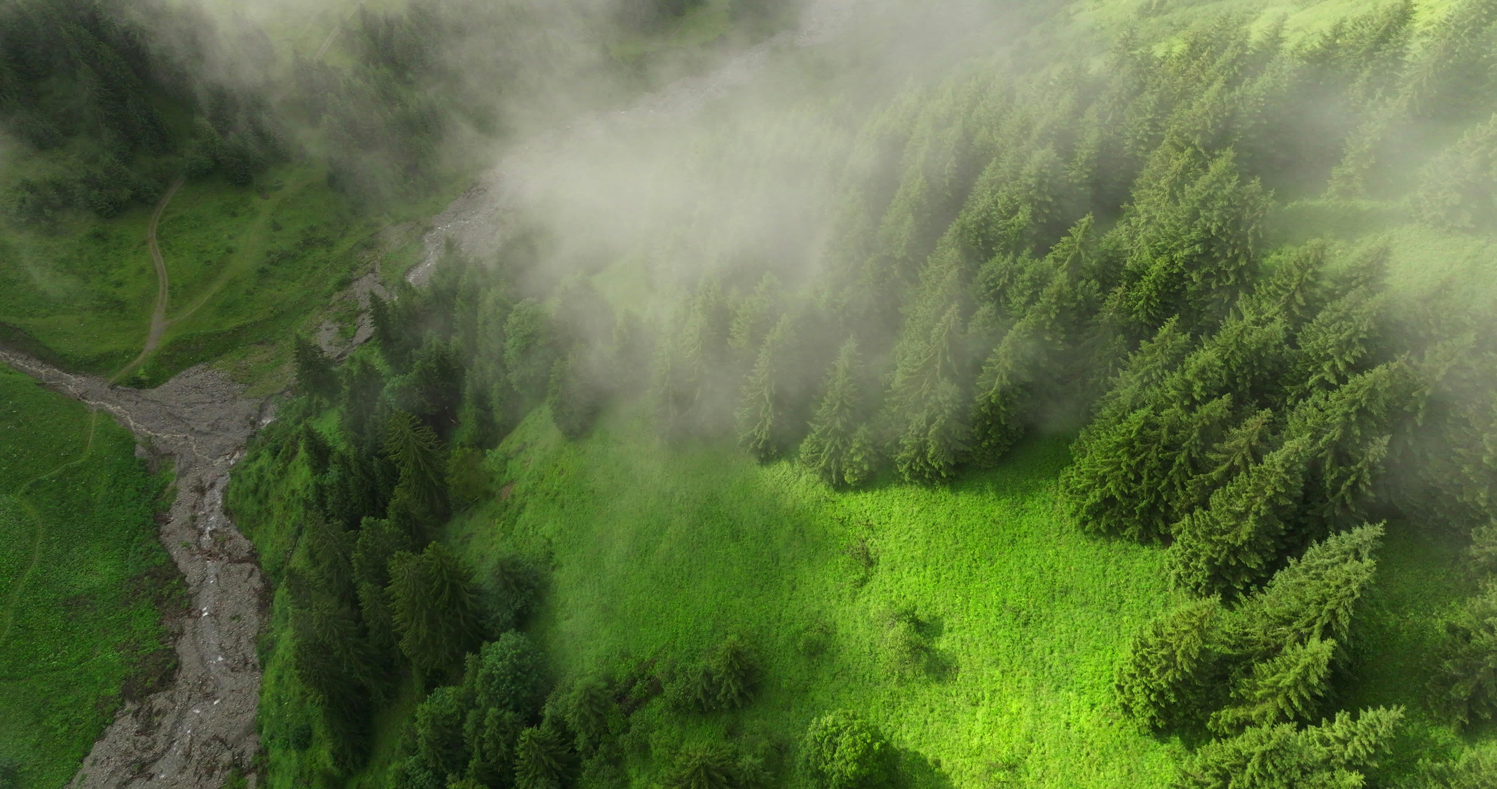 Discover forest-valley-of-austria-aerials, a story-driven footage | Artlist