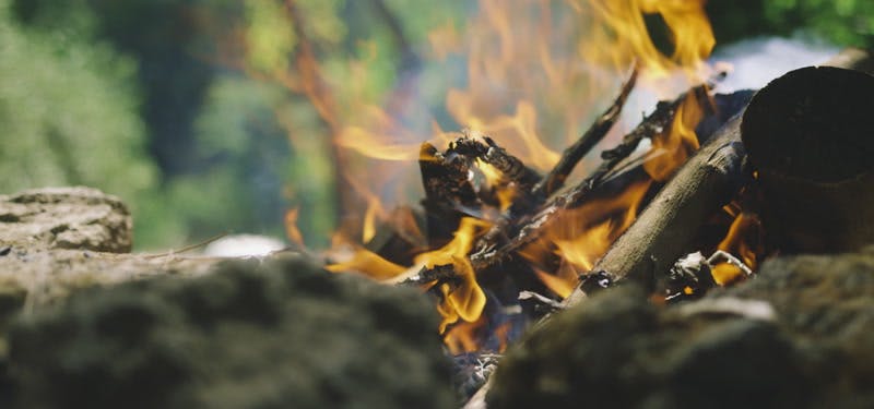 Rich, Burn, Logs, Magical by Omri Ohana – Stock Footage | Artlist
