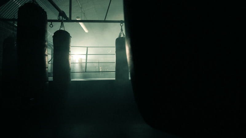 Boxer, Gym, Training, Punchbag by Erwin de Boer – Stock Footage | Artlist