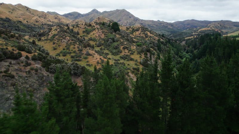 Mountains, Forest, New Zealand, Stream by Nomo Films – Stock Footage ...
