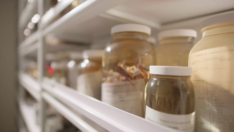 Laboratory, Specimen, Jar, Shelves by Day's Edge Productions – Stock ...