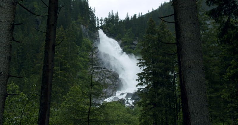 Water, Cascade, Conifers, Waterfall by Igor Tichonow – Stock Footage ...