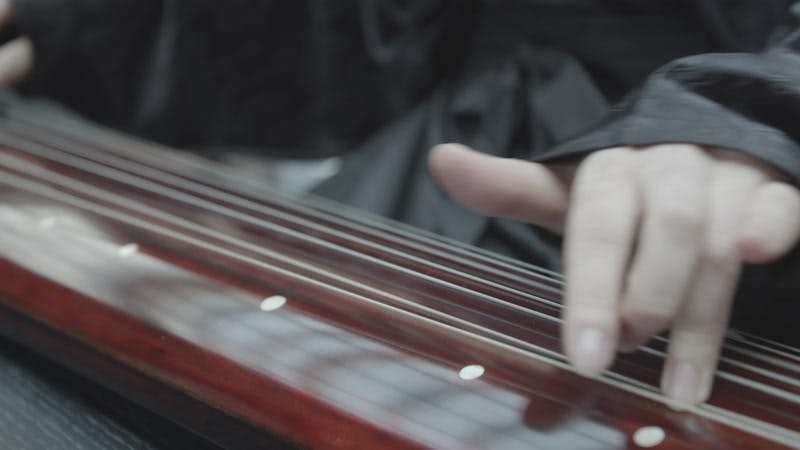 Chinese, Plucking, Instrument, Playing by Michael Jun GU – Stock ...