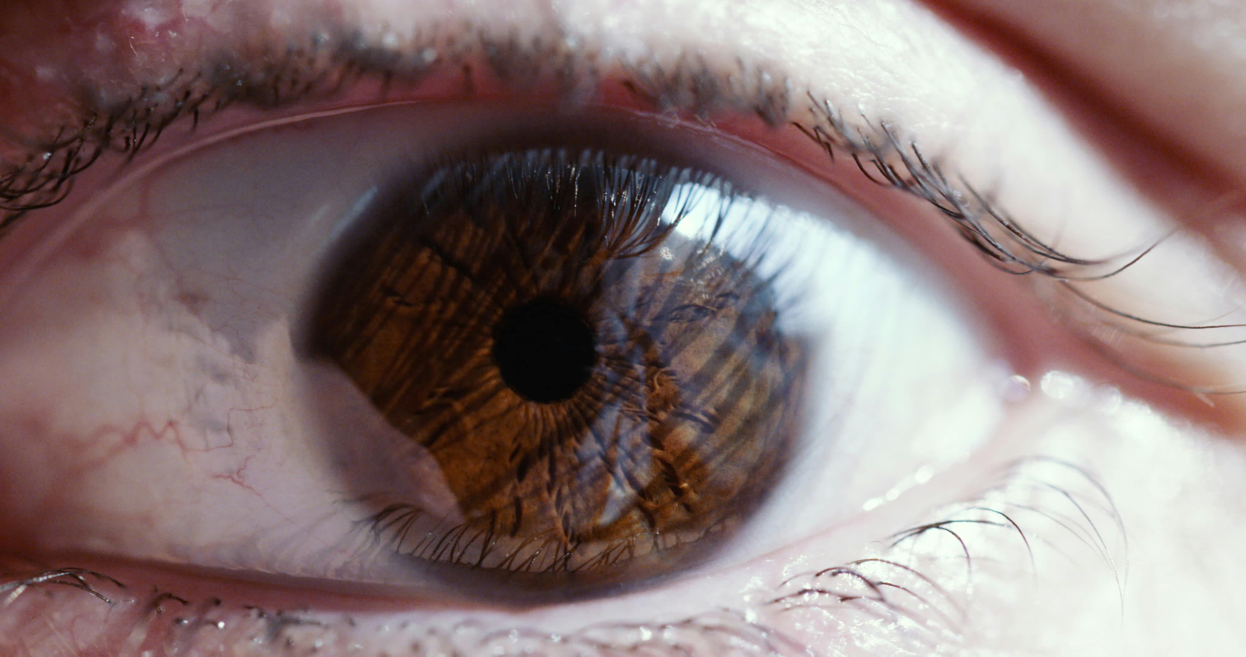 Discover eye-macro, a story-driven footage | Artlist