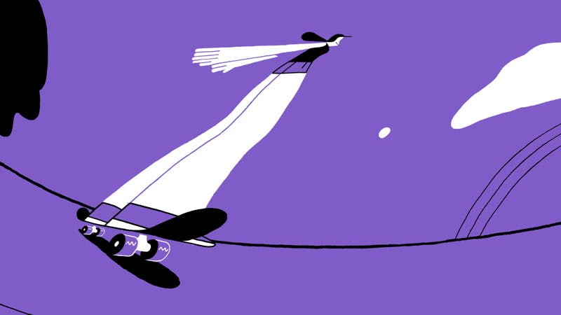 Woman, Skateboard, Skating, Animation by Joao Lavieri – Stock Footage ...