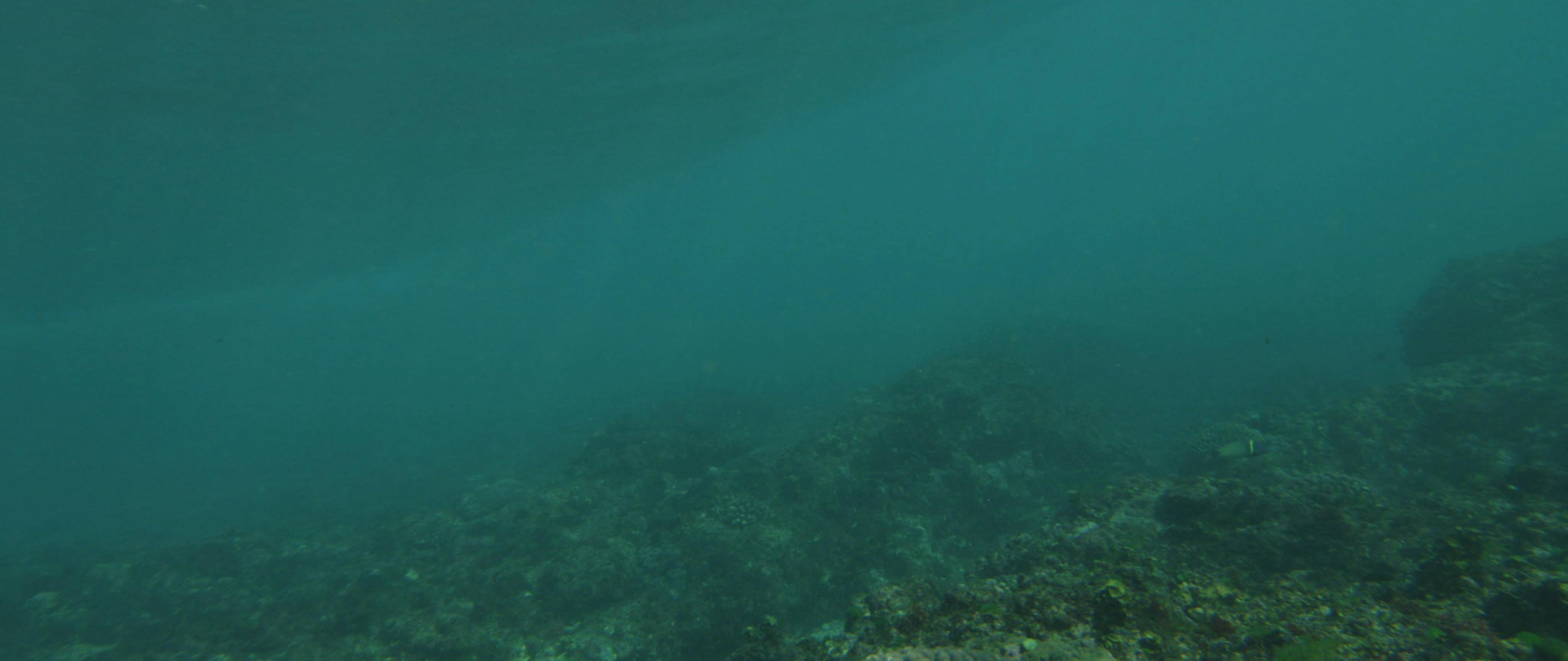 Discover wave, a story-driven footage | Artlist