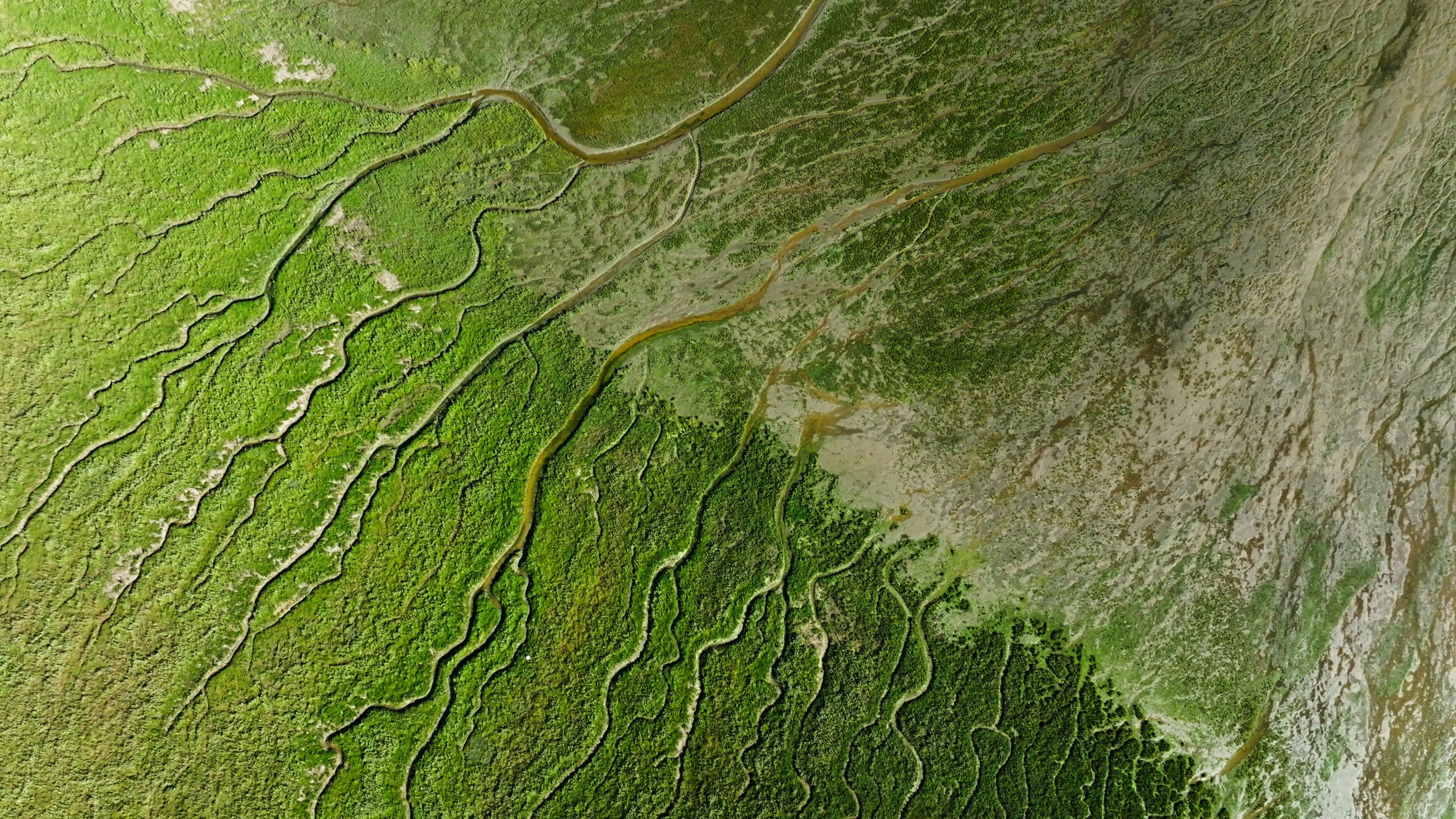 Discover river-delta-aerials, a story-driven footage | Artlist