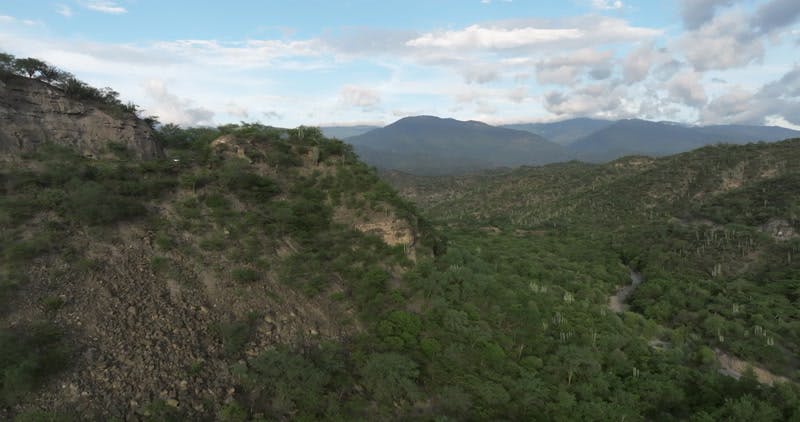 Mexico, Biosphere Reserve, National Reserve, Tehuacan Biosphere Reserve ...