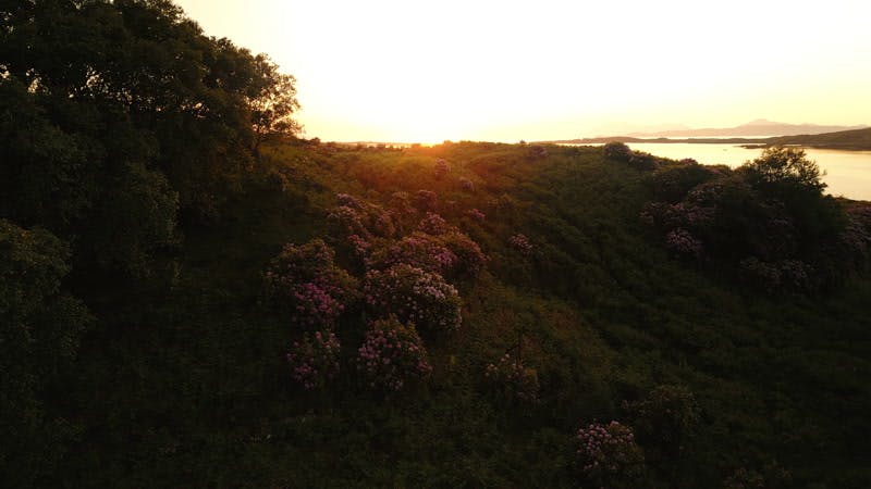 Scotland, Skye, Shoreline, Fields by Gianmaria Palombo – Stock Footage ...
