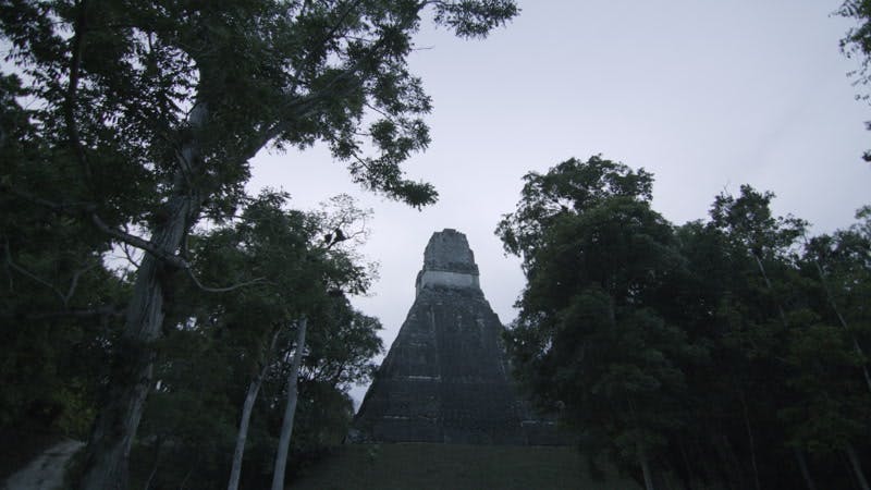 Jungle, Mysterious, Overcast, Ancient Ruins by Wind Collective – Stock ...
