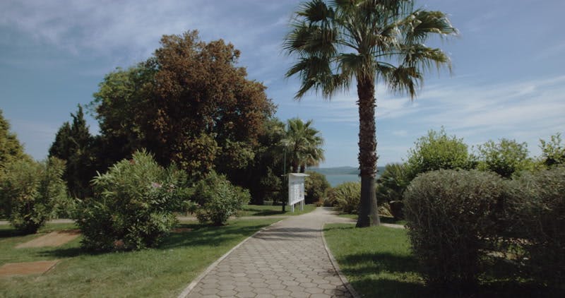Pathway, Ocean, View, Trees by MXR Productions – Stock Footage