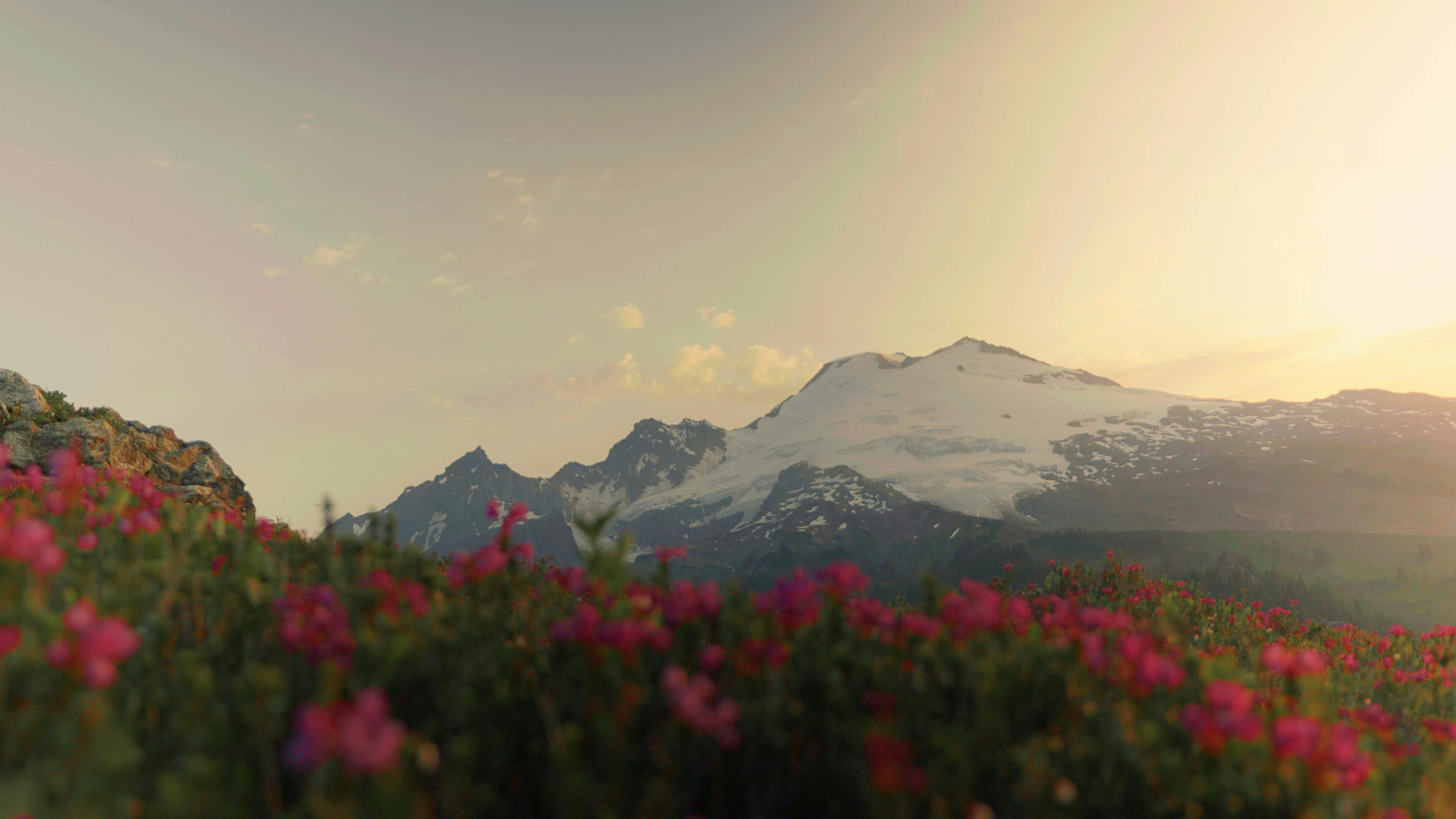 Discover fire-watchtower-in-washington, a story-driven footage | Artlist