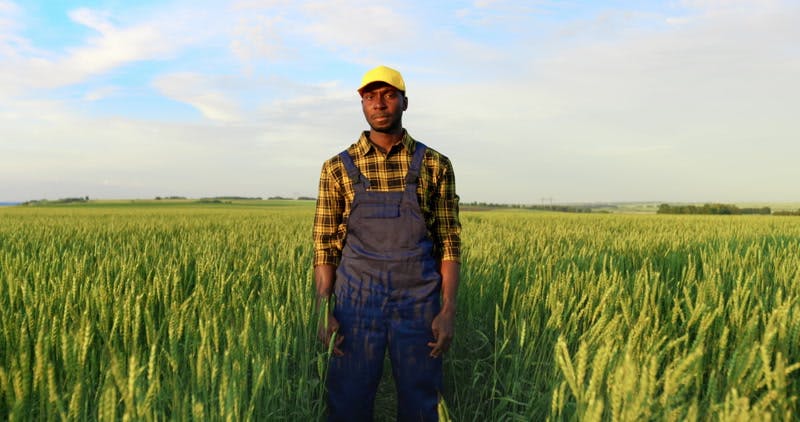 Farmer, Field, Wheat, Portrait by Dmitrii Borovikov – Stock Footage ...