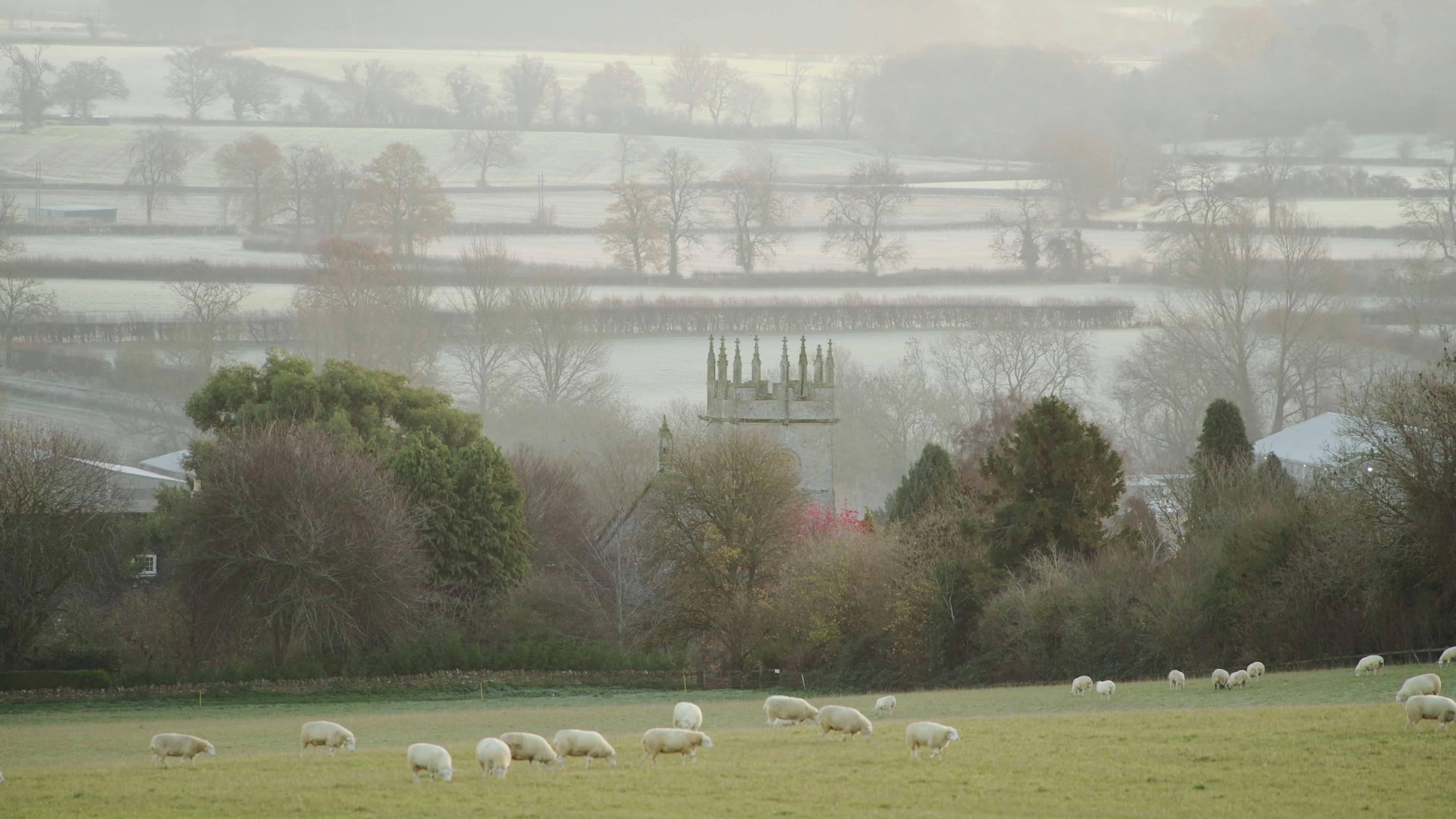 Discover misty-english-countryside, a story-driven footage | Artlist