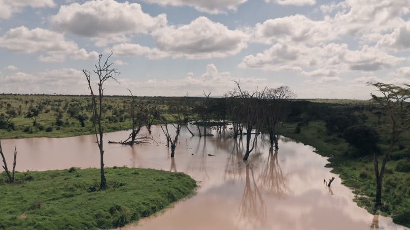 Drone, Kenyan, African, Africa by Matthew Williams-Ellis – Stock ...