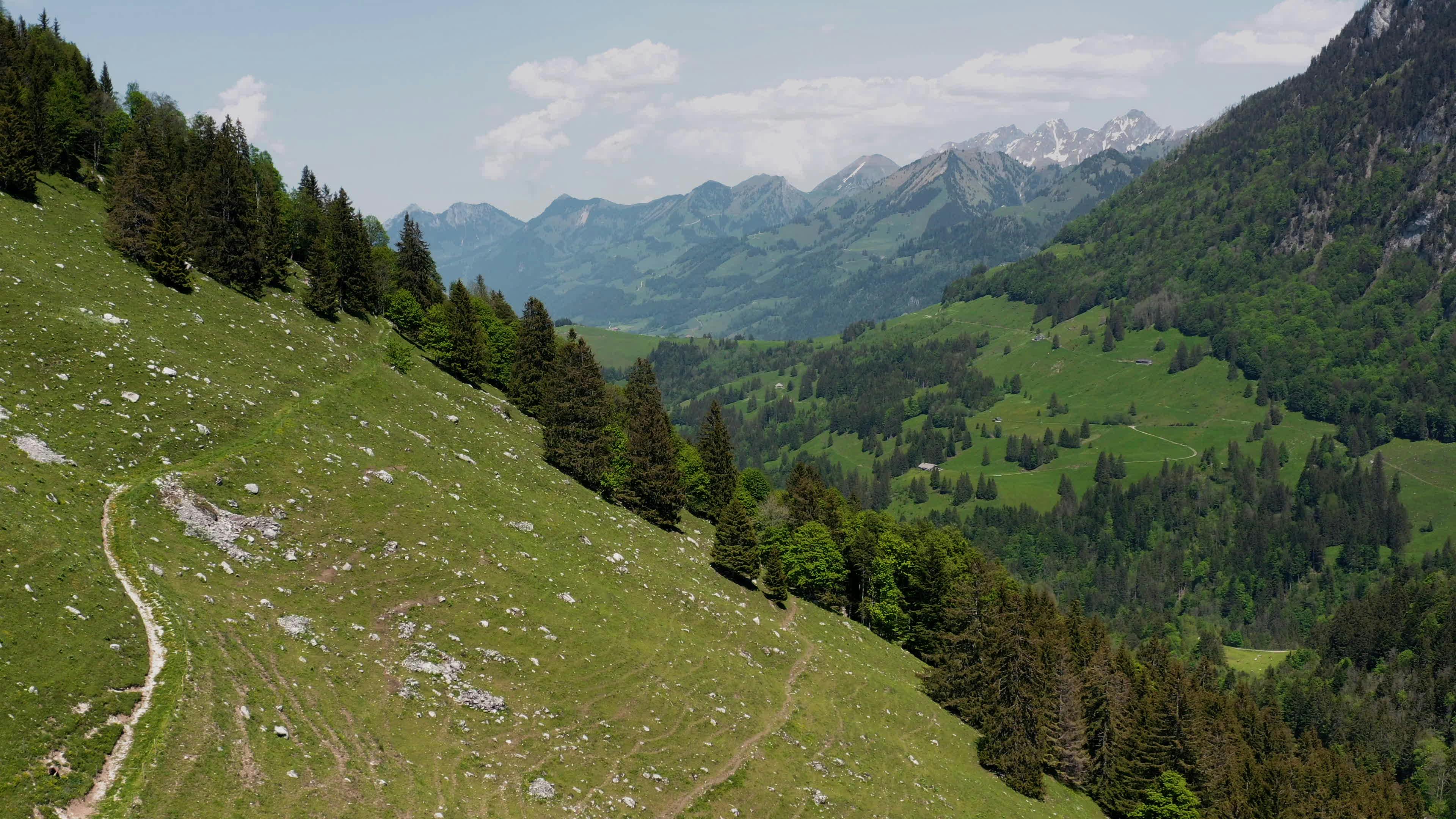 Discover swiss-forest, a story-driven footage | Artlist