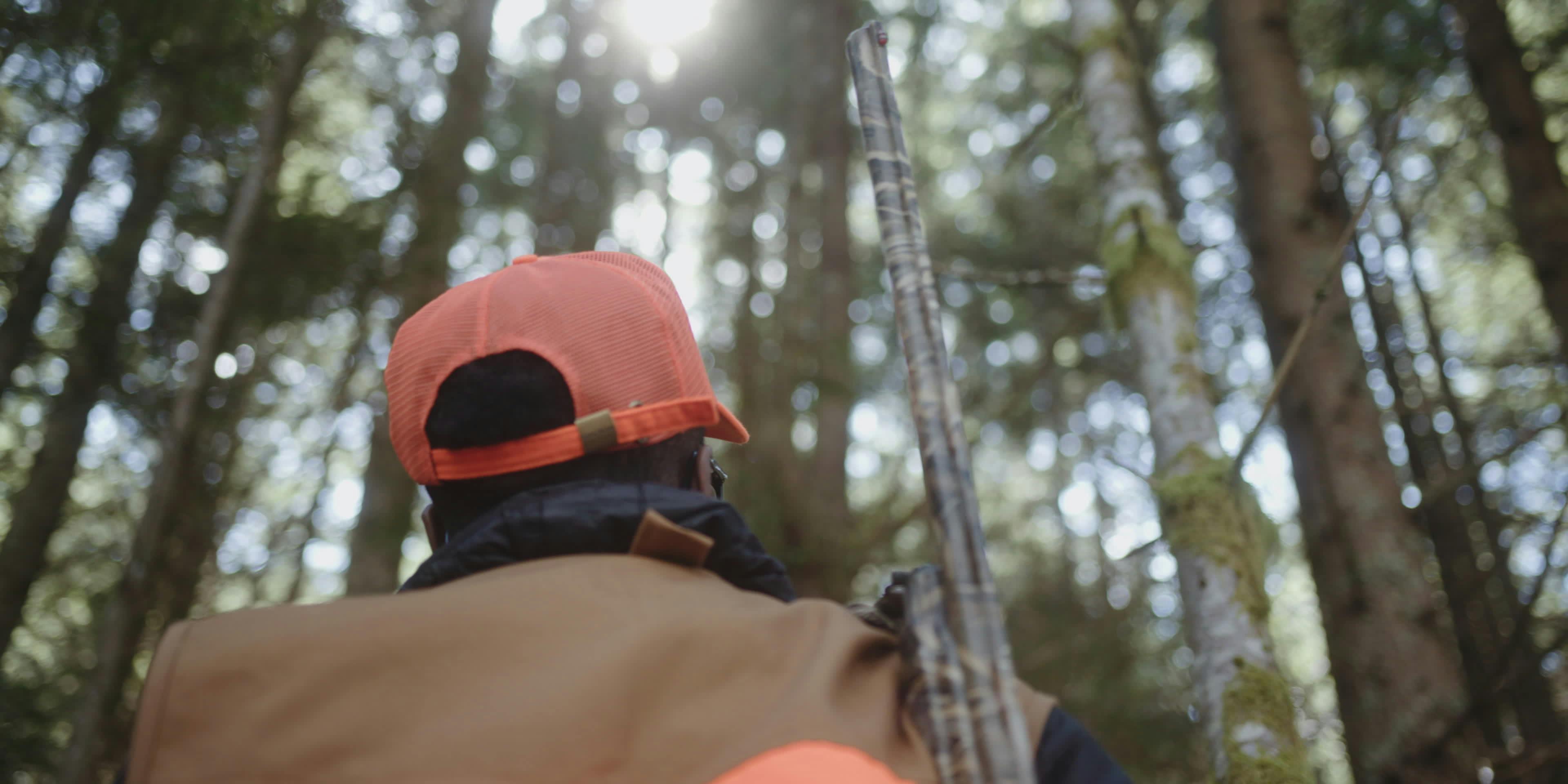 Discover hunter-in-the-woods, a story-driven footage | Artlist