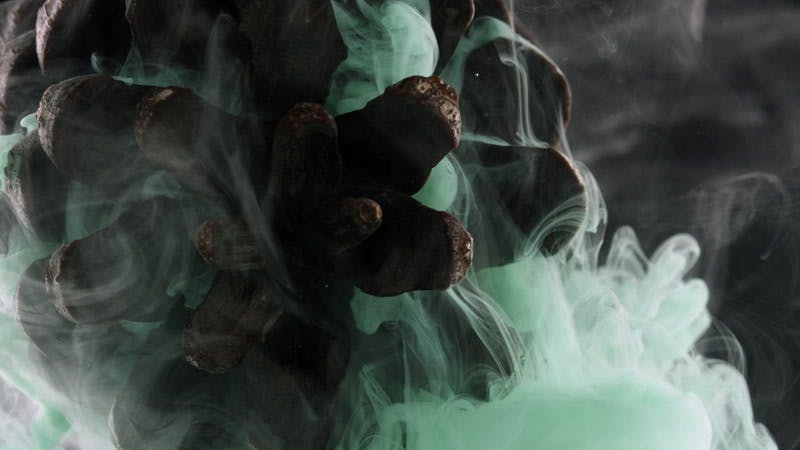 Ethereal, Mysterious, Underwater, Pine Cone by David Rudoy – Stock ...
