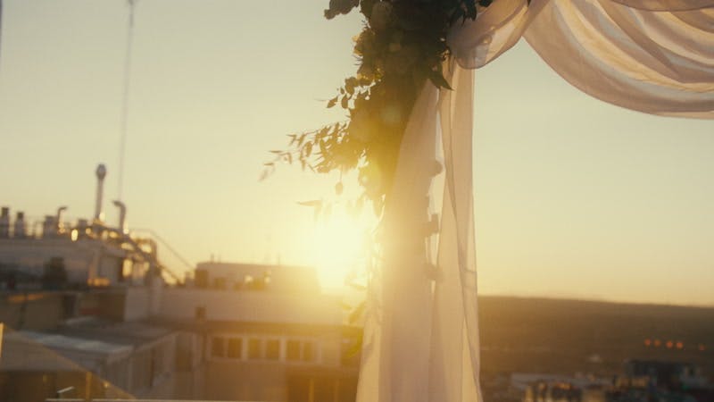 Sunshine, Rooftop, Bouquet, Flowers by Azulroto – Stock Footage | Artlist