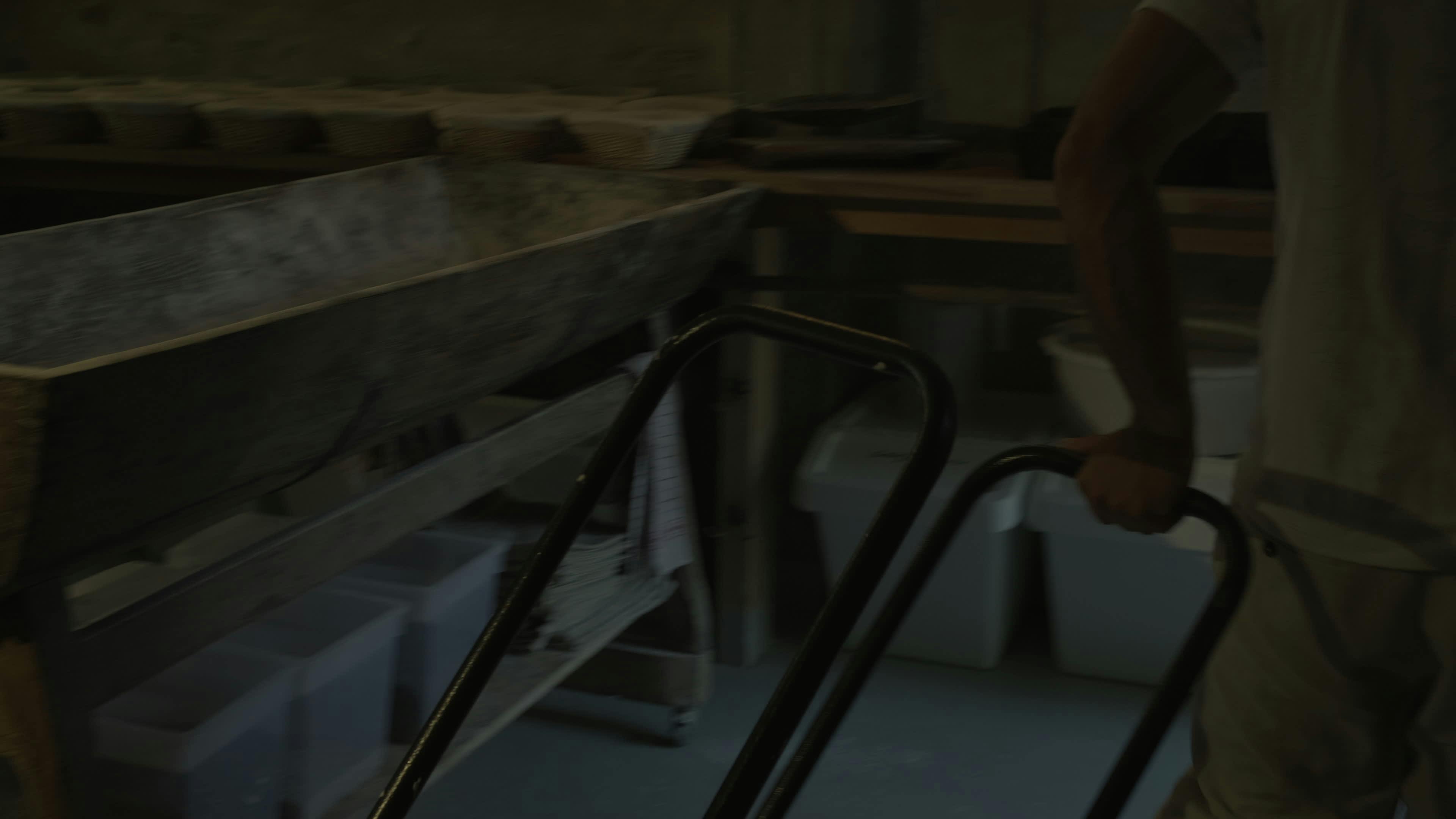 Discover traditional-baking-process, a story-driven footage