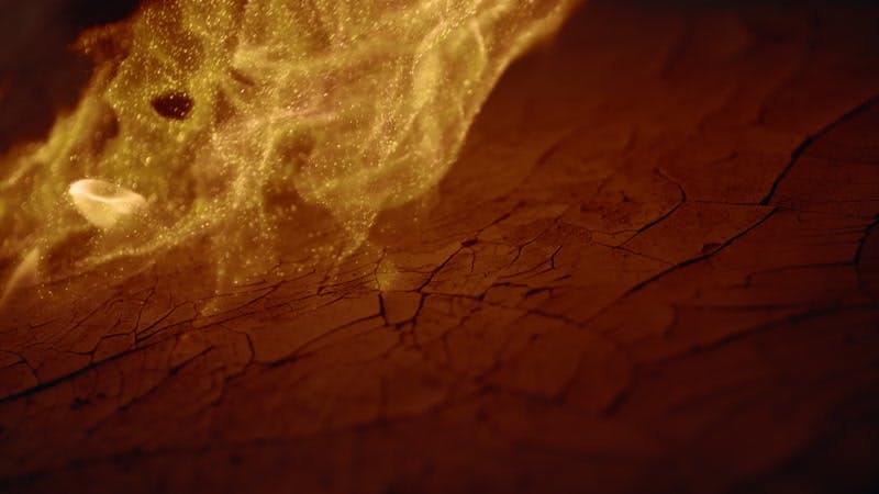 Flames, Spreading, Light Up, Fire by Ira Belsky – Stock Footage | Artlist