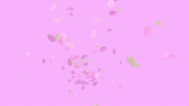 Falling, Pink Background, Phantom, Flower by Soraphotography – Stock ...