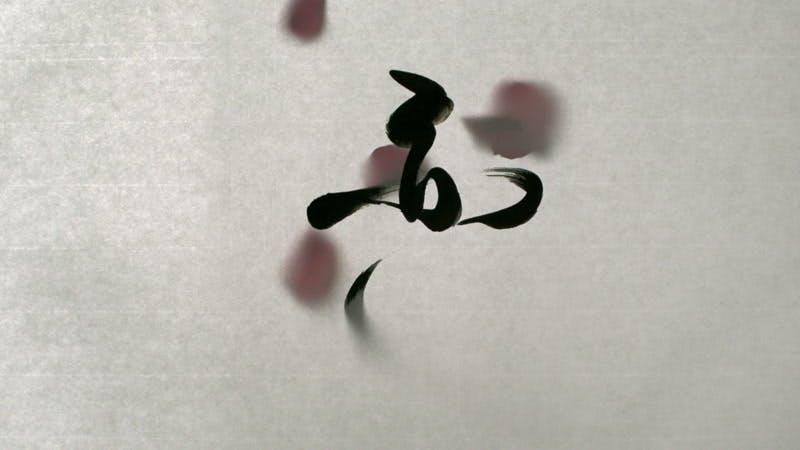 Ink, Lettering, White, Screen by Soraphotography – Stock Footage | Artlist