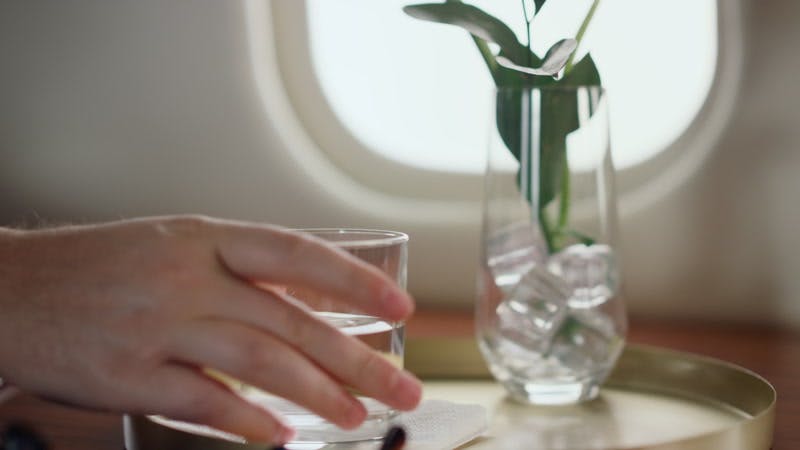 Water, Ice Cubes, White Rose, Plane by Stockbusters – Stock Footage ...