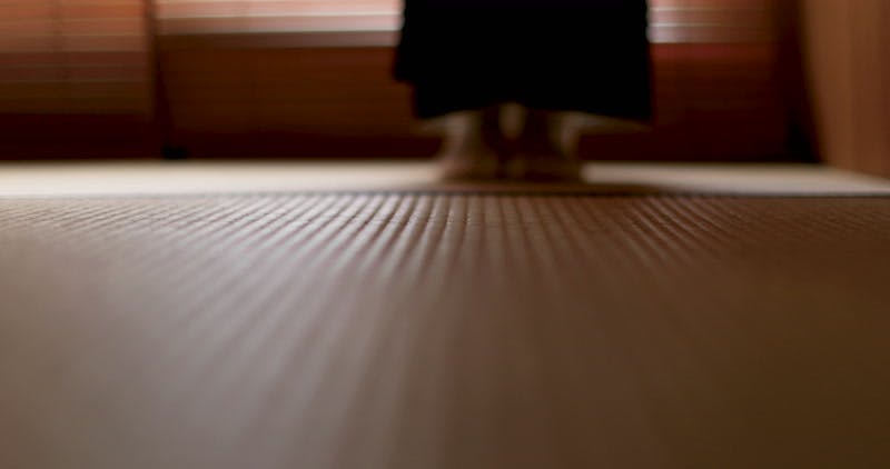 Japenese, Woman, Tatami Mat, Socks by Erwin de Boer – Stock Footage ...