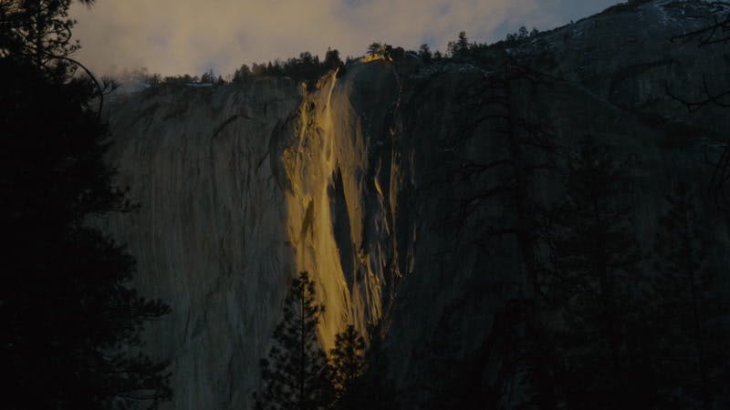 California, Yosemite, Trees, Waterfall by Pierre Saba-Aris – Stock ...