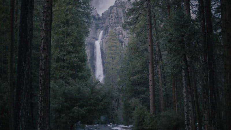 Trees, California, Yosemite, Park by Pierre Saba-Aris – Stock Footage ...